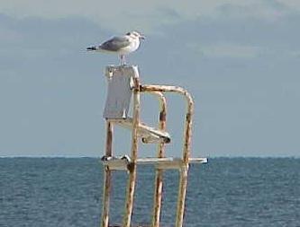 Comcast Opens New Xfinity Store in Falmouth | Cape Cod Daily News